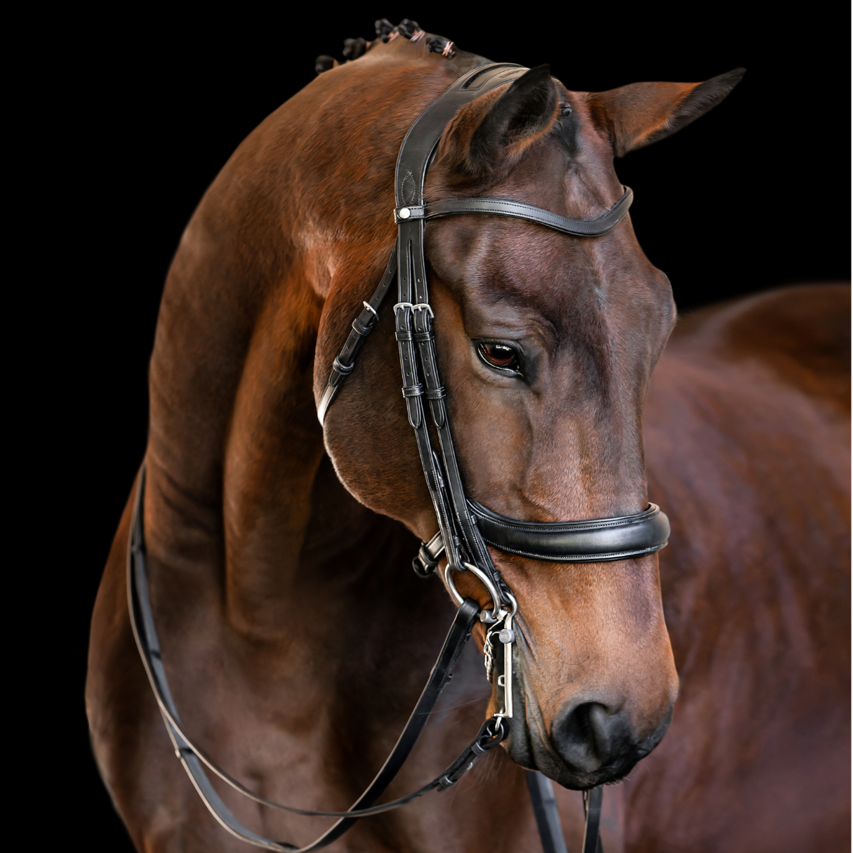 Advance Double Bridle – Artemis Equine