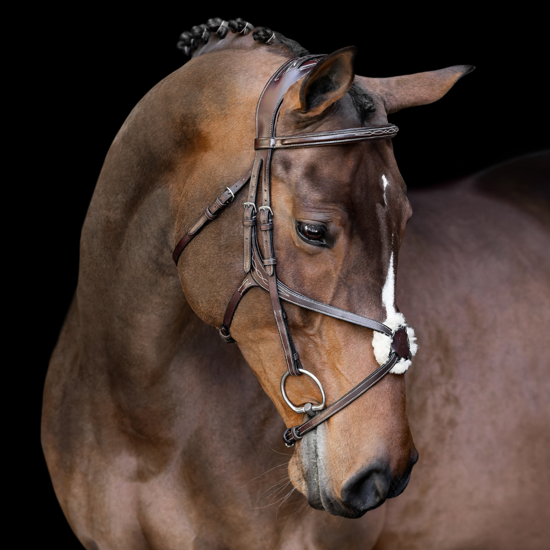 Athena Anatomic Jumping Bridle – Artemis Equine