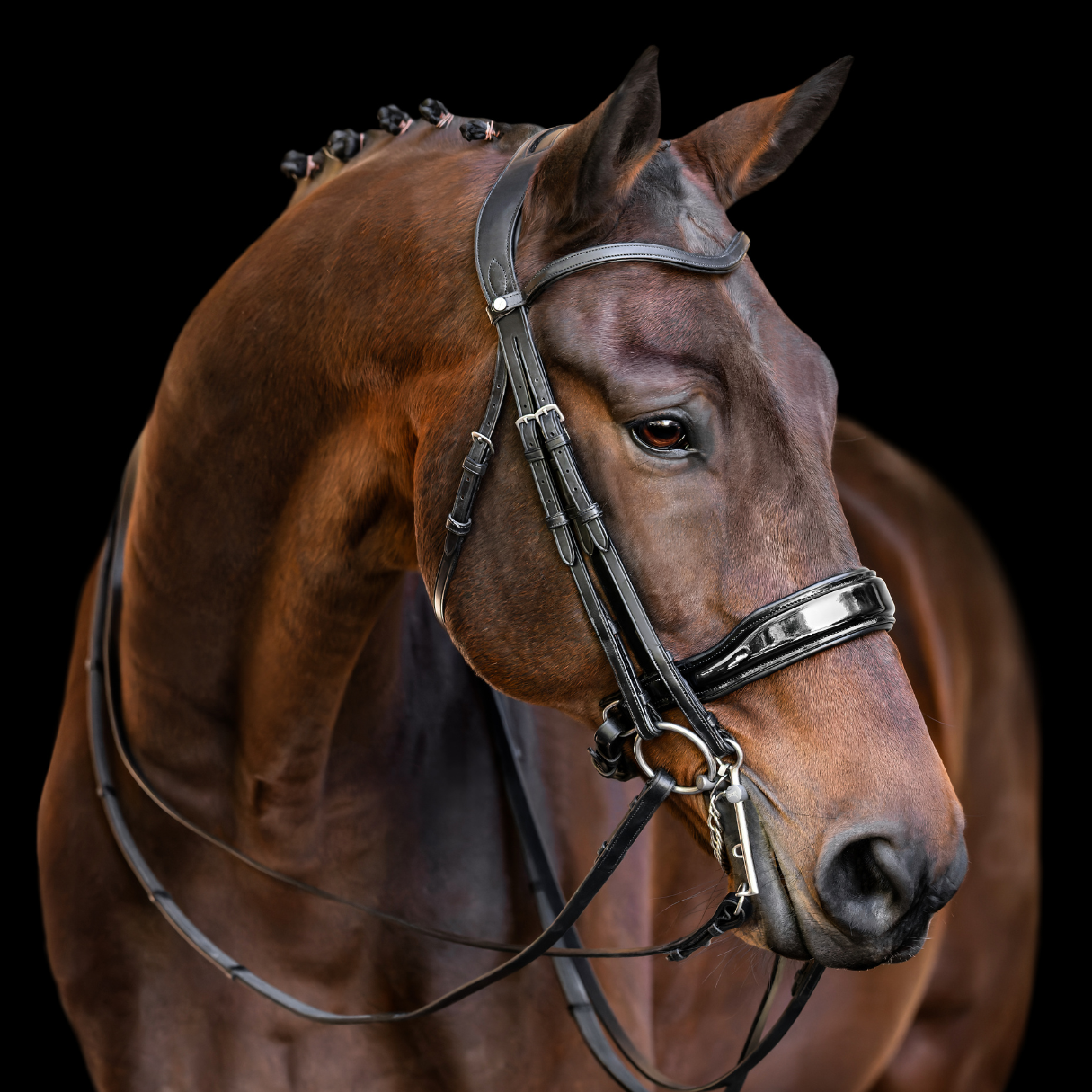 Destiny Patent Double Bridle – Artemis Equine
