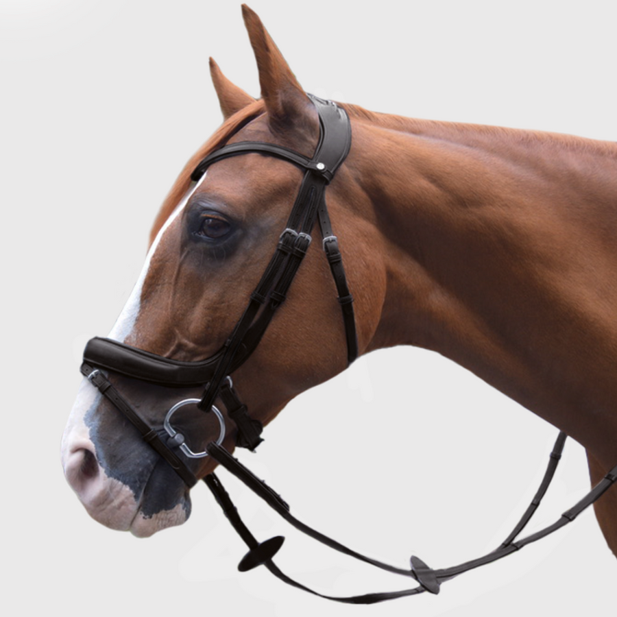 Artemis Equine - Dressage, Jumping Bridles
