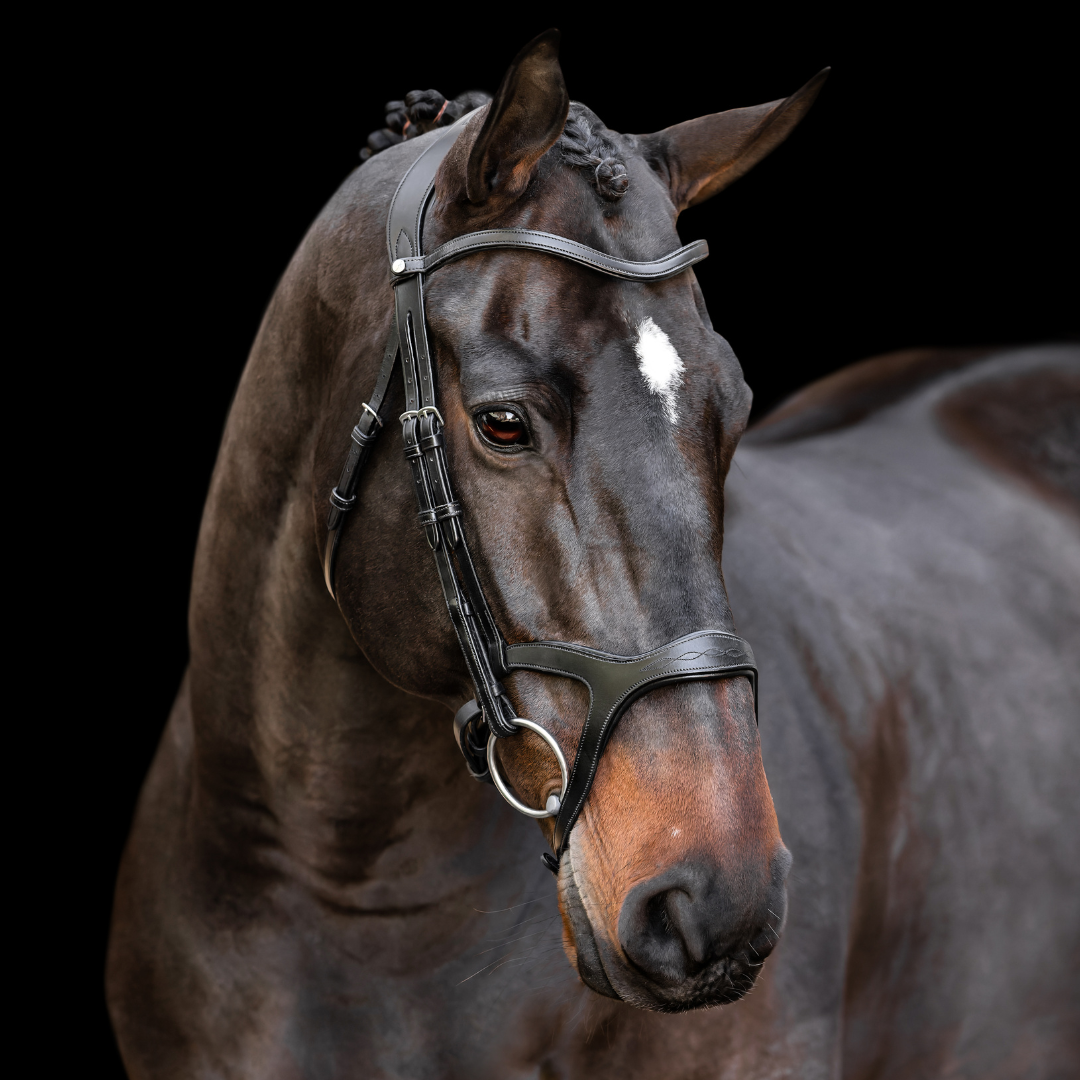 Victory Dressage Bridle – Artemis Equine