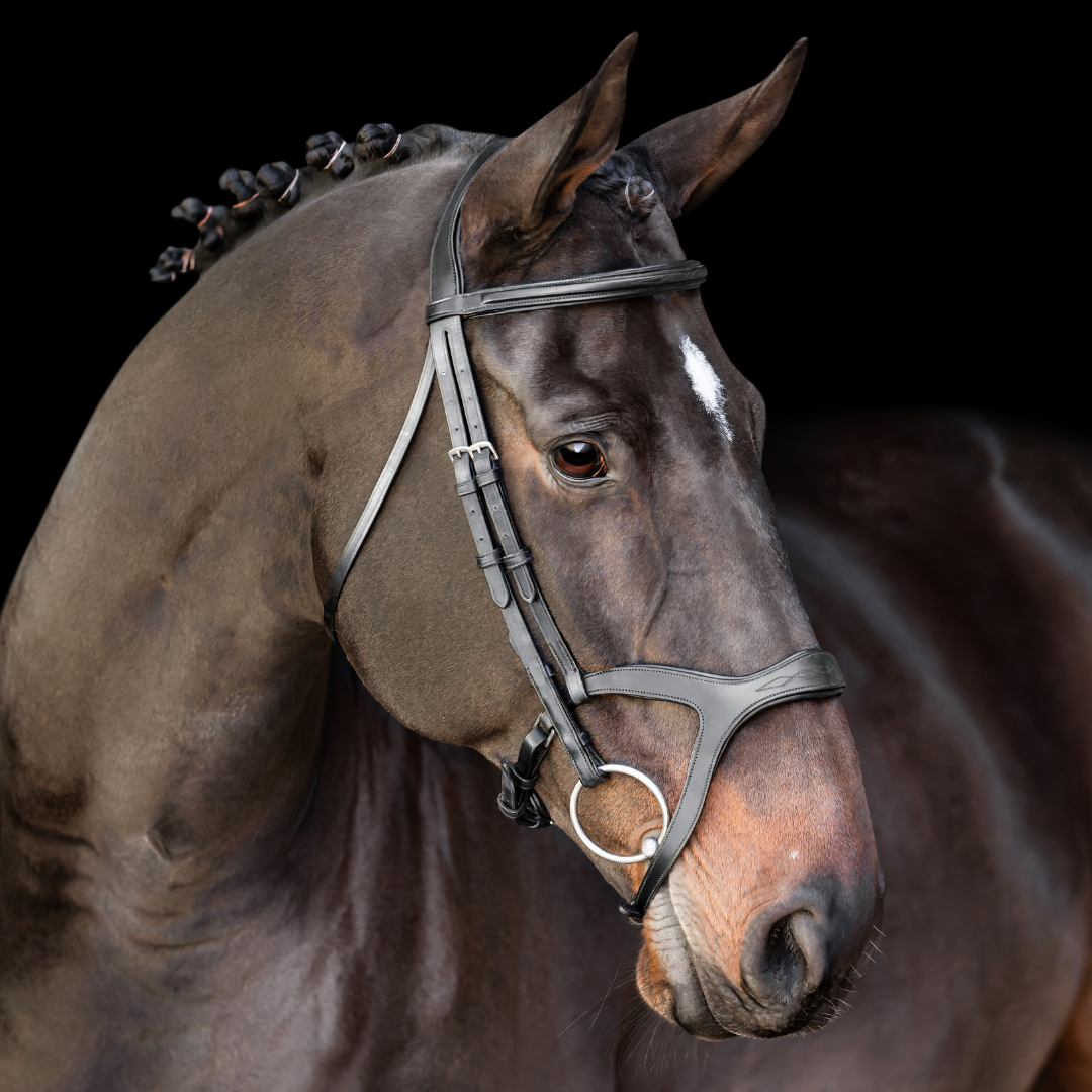 Victory Traditional Bridle – Artemis Equine